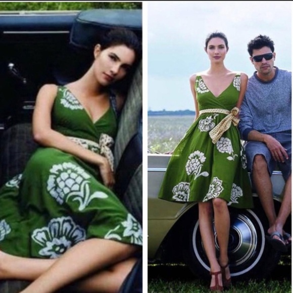 Anthropologie | Dresses | Anthropologie Lithe River Of Green Fit And ...